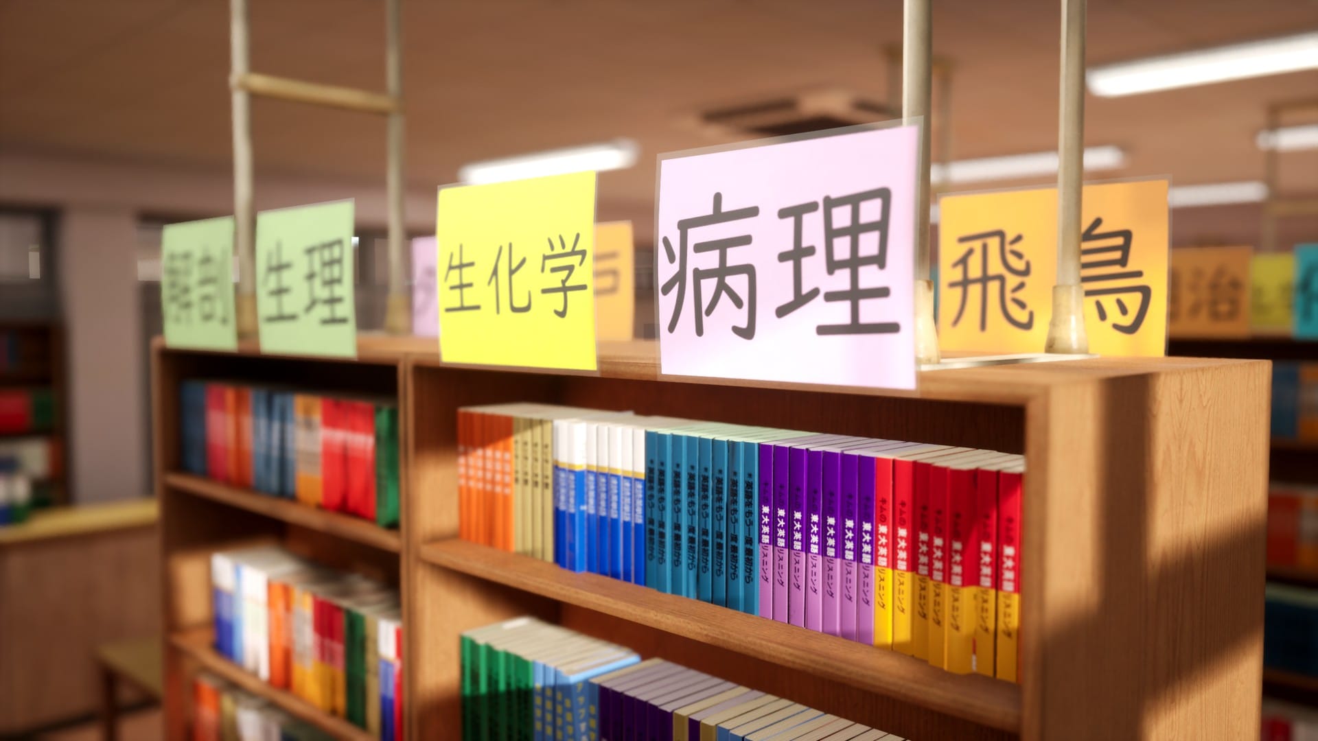 Anime School Library