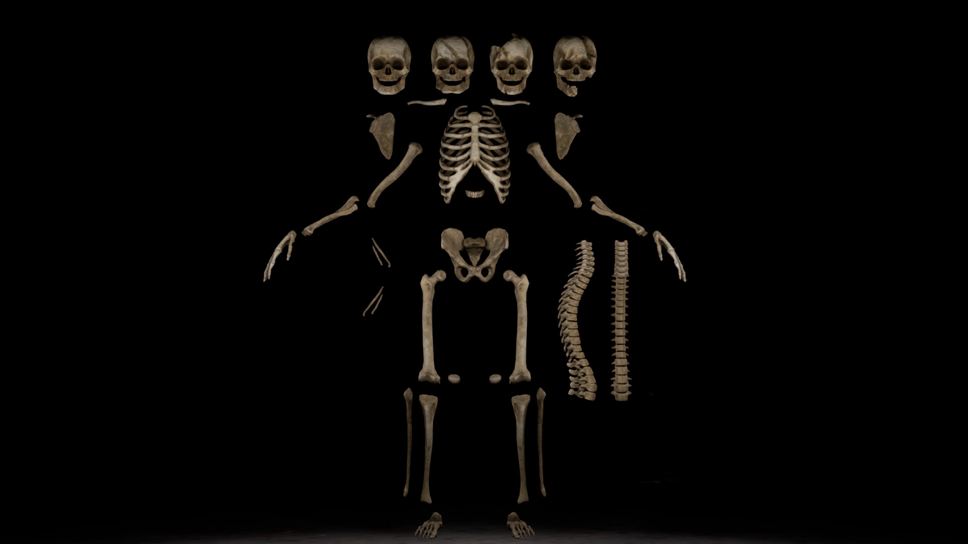Skeleton Generator in Characters - UE Marketplace