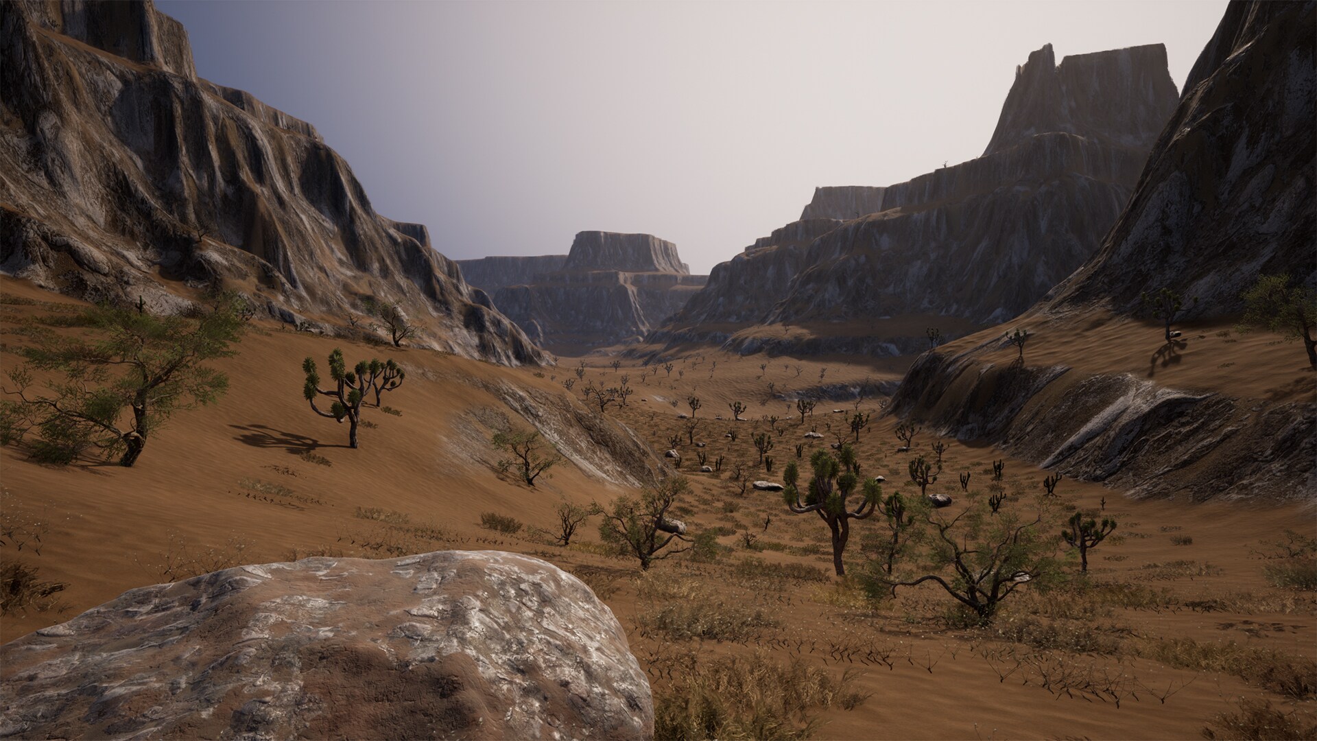 在环境创建的Canyon Procedural Ecosystem - 虚幻引擎商城