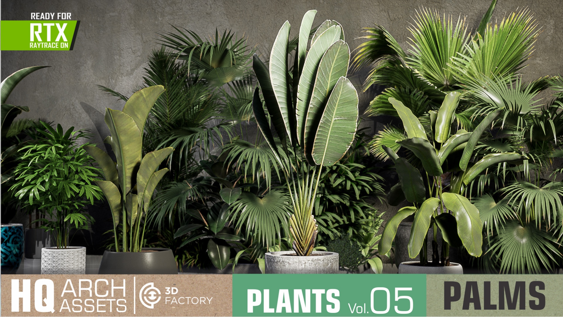 HQ Plants Vol. 5 ( Palms ), 카테고리 건축 시각화 - UE 마켓플레이스