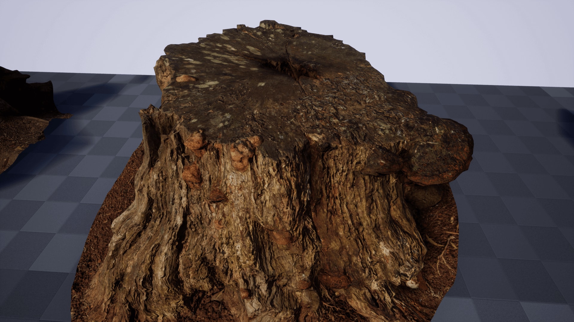 Megascans - Stump in Megascans - UE Marketplace