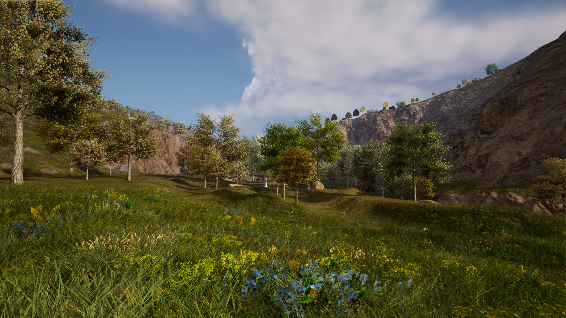 Landscape Procedural Ecosystem, 카테고리 배경 - UE 마켓플레이스