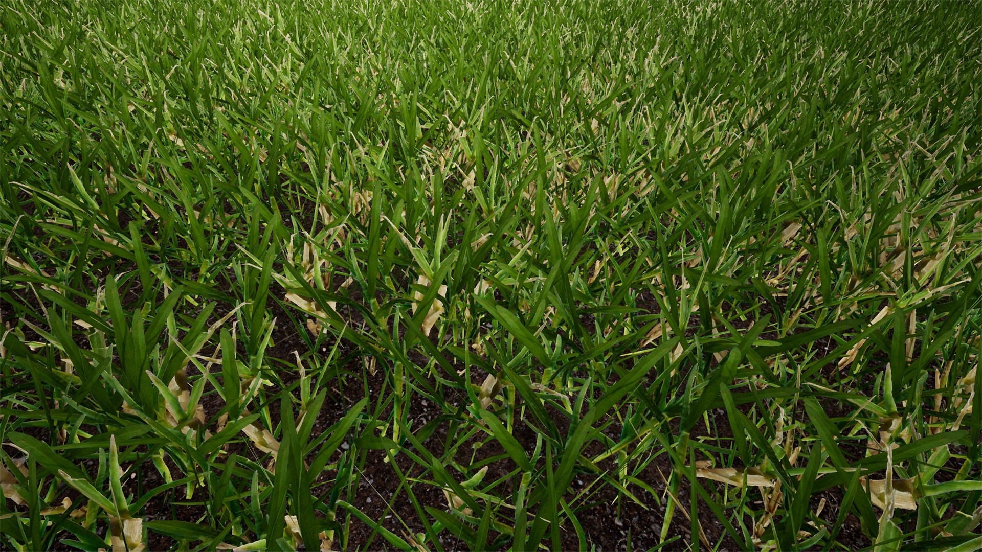 Pro Grass in Props - UE Marketplace