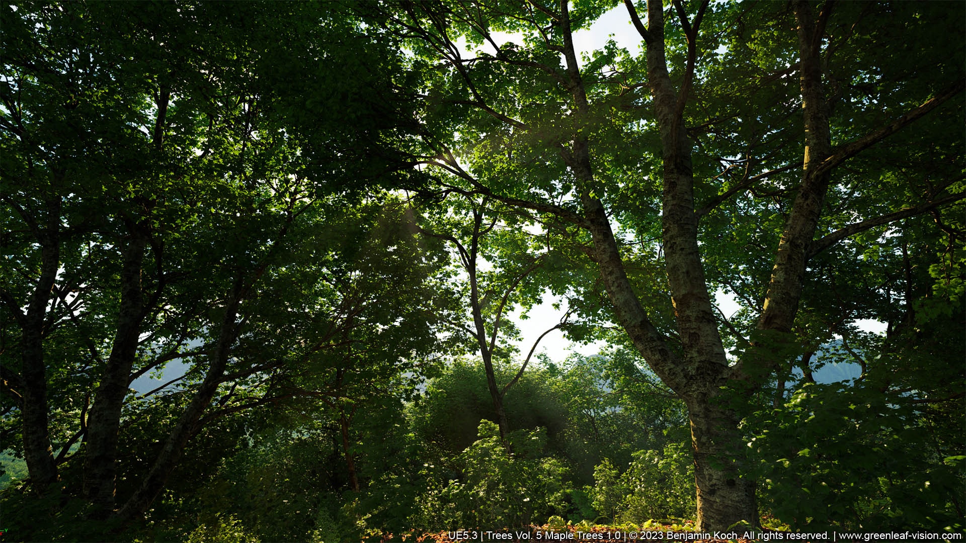Trees Vol. 5 - Maple Trees (Ultra Realistic Wind) in Environments - UE ...