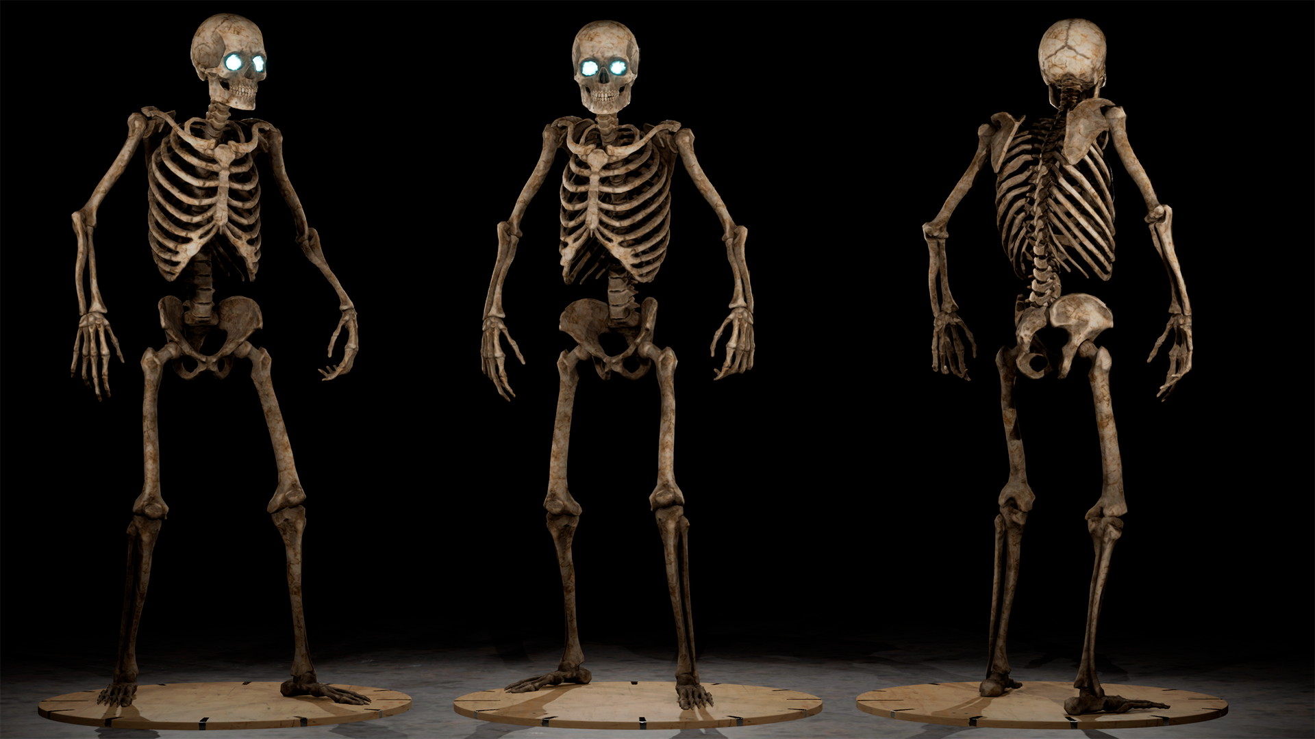 Skeleton Generator in Characters - UE Marketplace