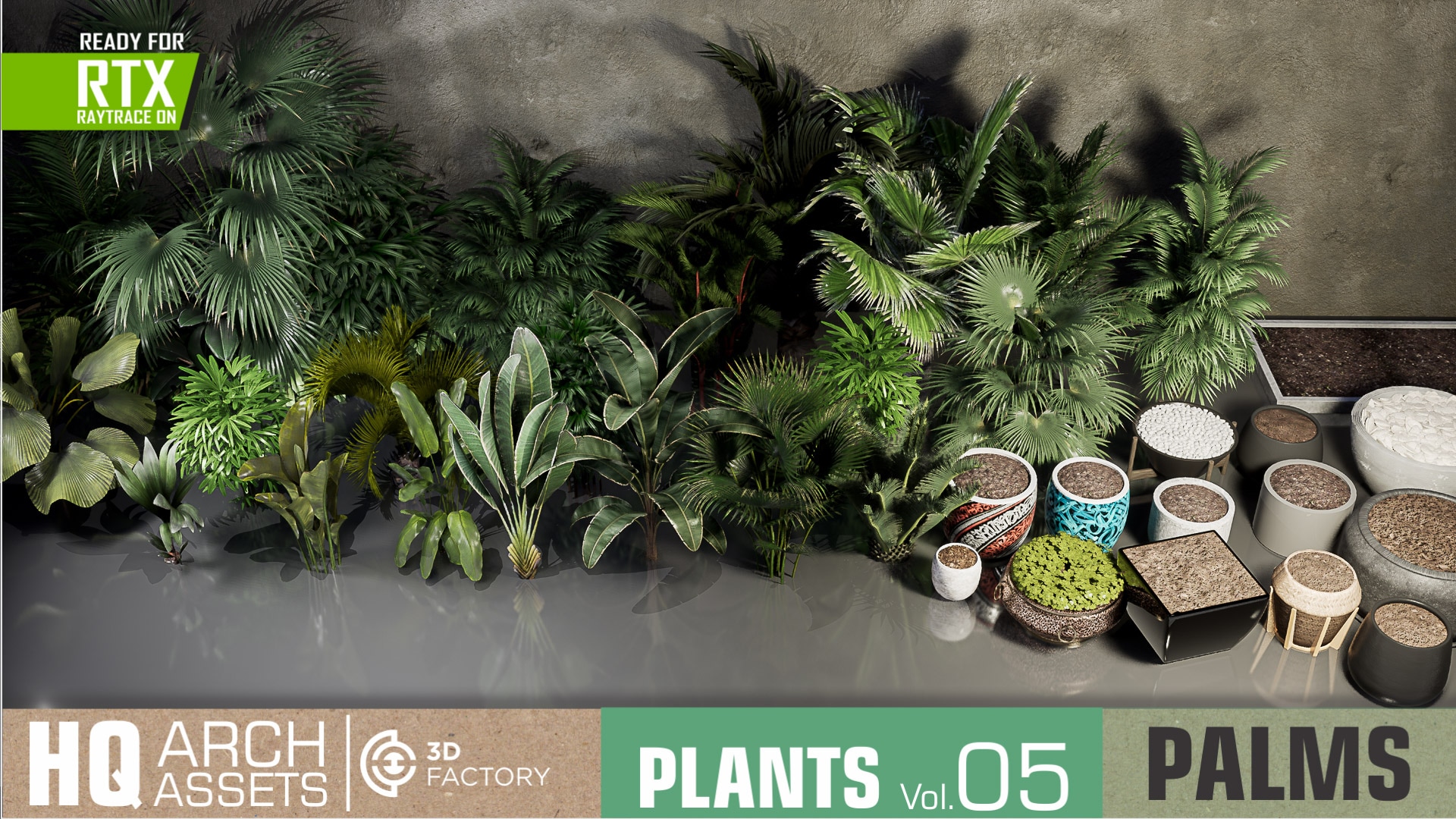 HQ Plants Vol. 5 ( Palms ), 카테고리 건축 시각화 - UE 마켓플레이스