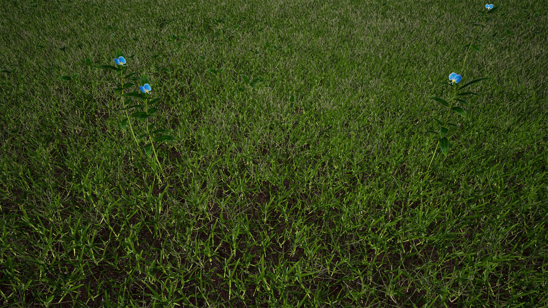 Pro Grass in Props - UE Marketplace