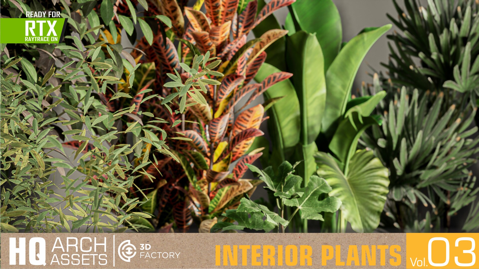 HQ Interior Plants Vol. 3：建築ビジュアライゼーション - UE マーケットプレイス