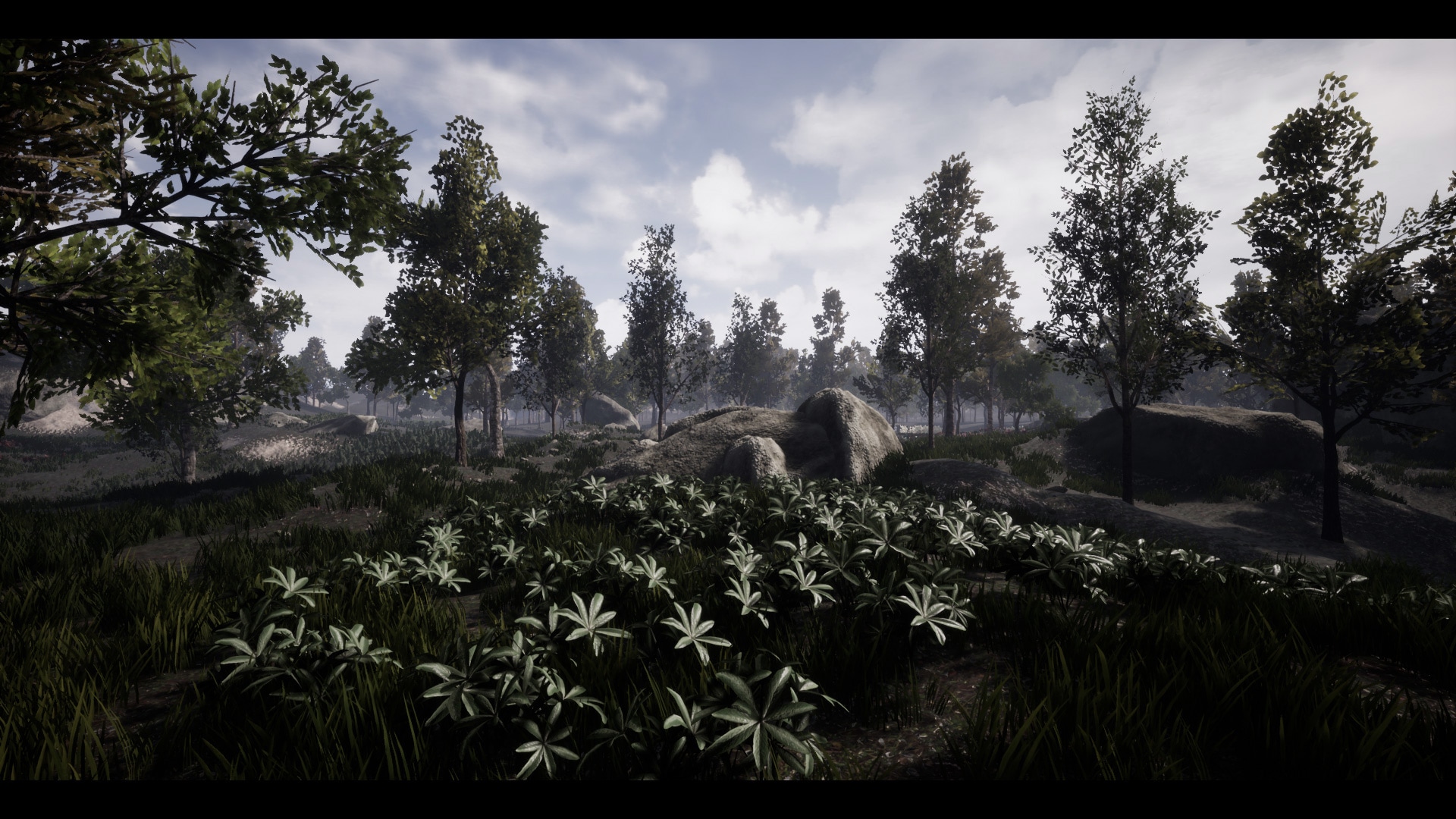 Procedural Interactive Forest V1 - Complete interactive system in ...