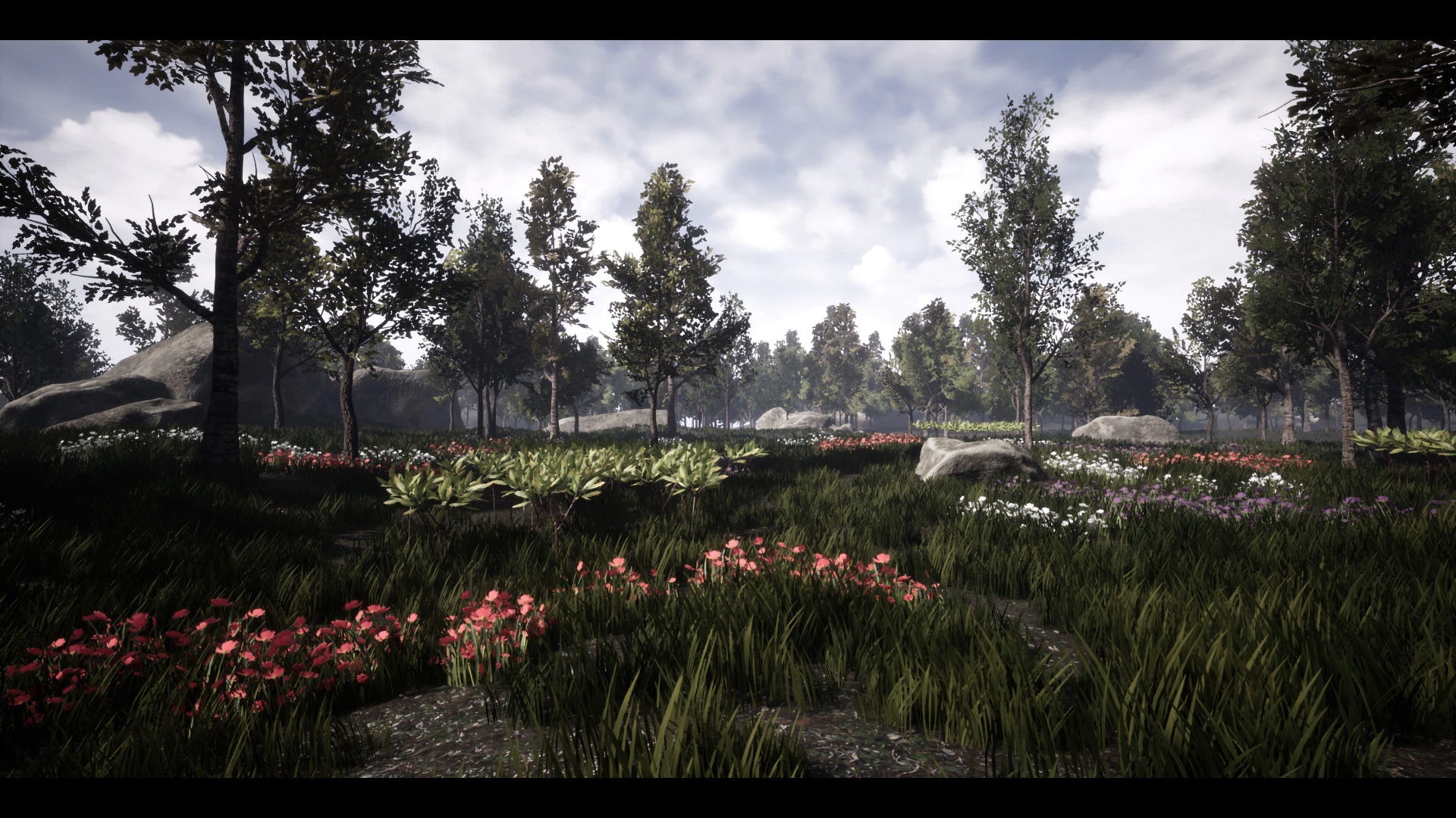 Procedural Interactive Forest V1 - Complete interactive system in ...