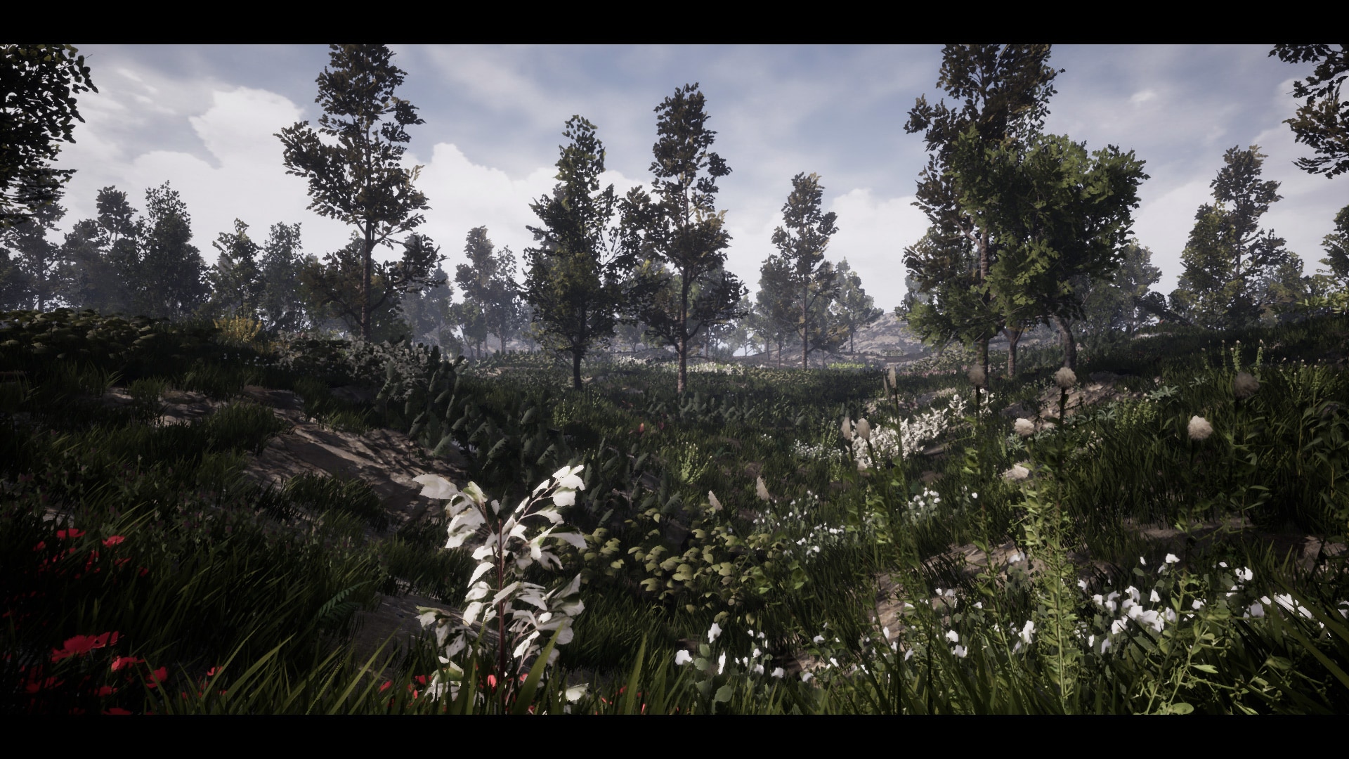 Procedural Interactive Forest V1 - Complete interactive system in ...