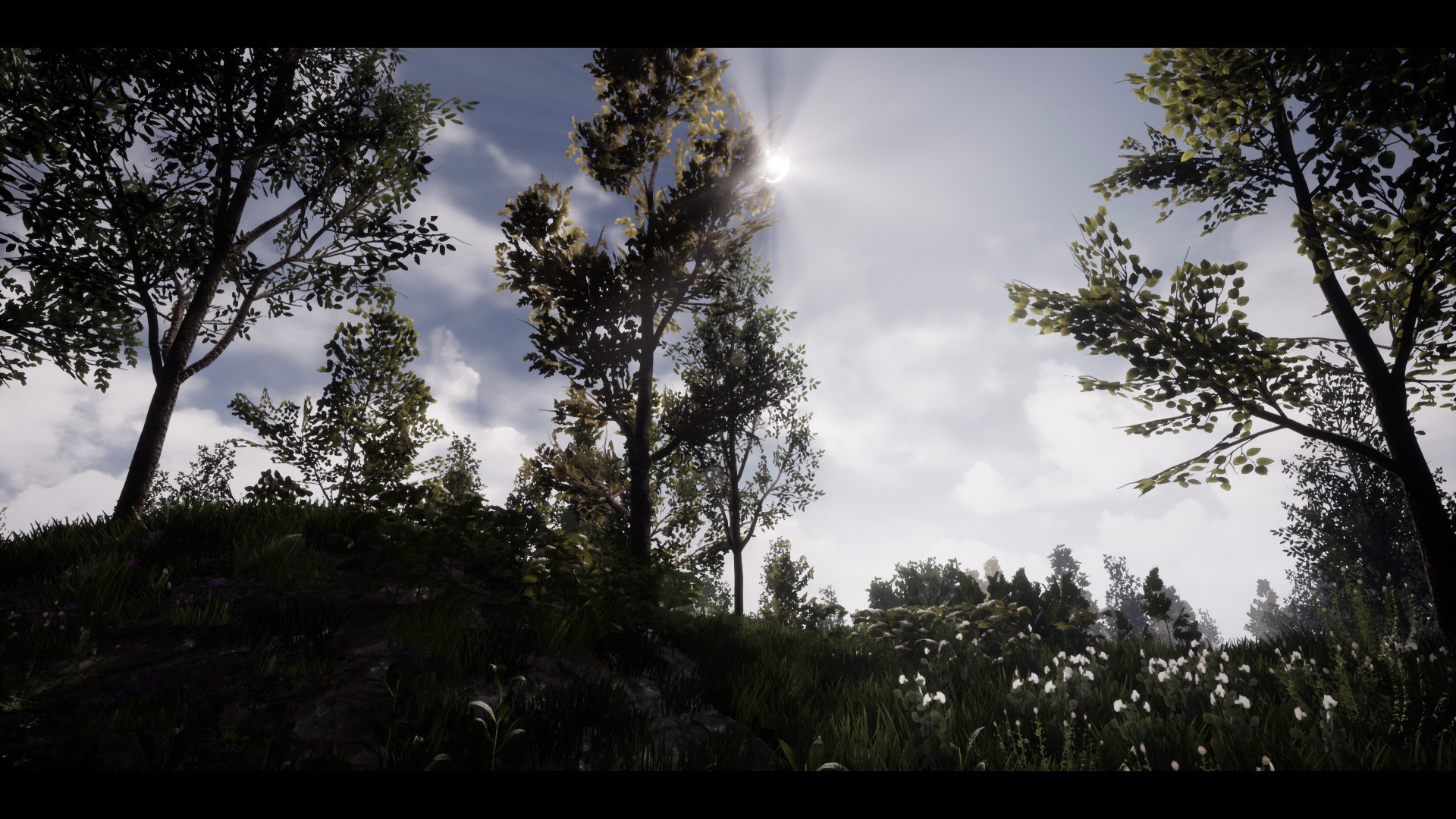 Procedural Interactive Forest V1 - Complete interactive system in ...