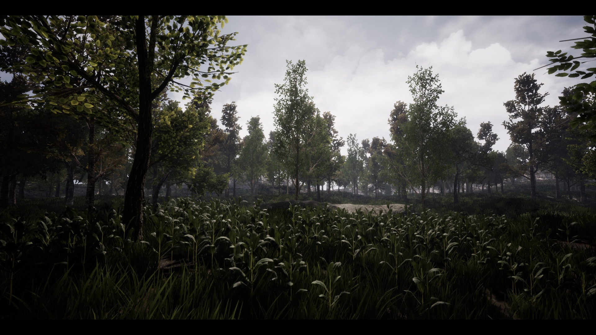 Procedural Interactive Forest V1 - Complete interactive system in ...