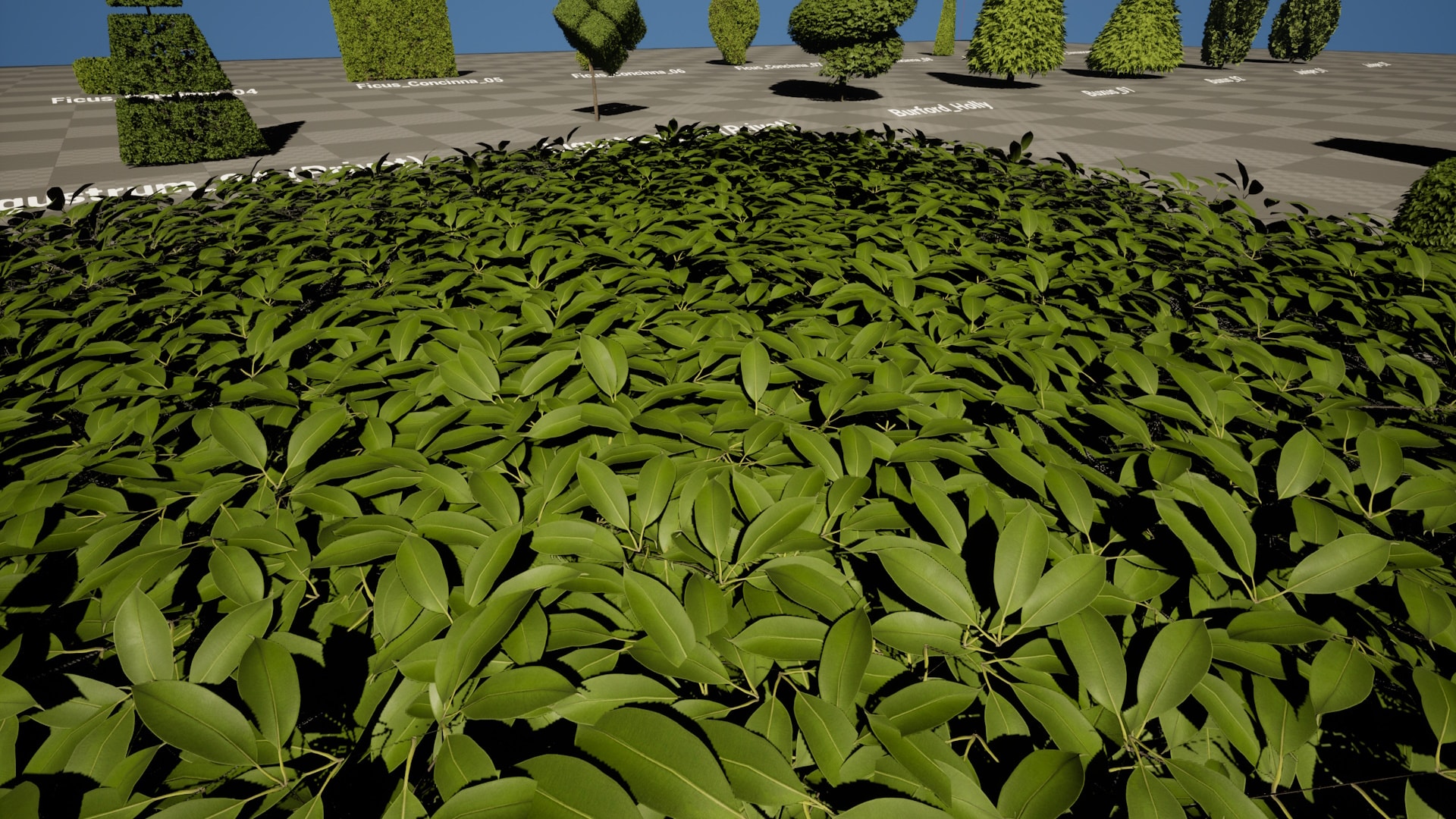 Formal Bush Collection in Props - UE Marketplace