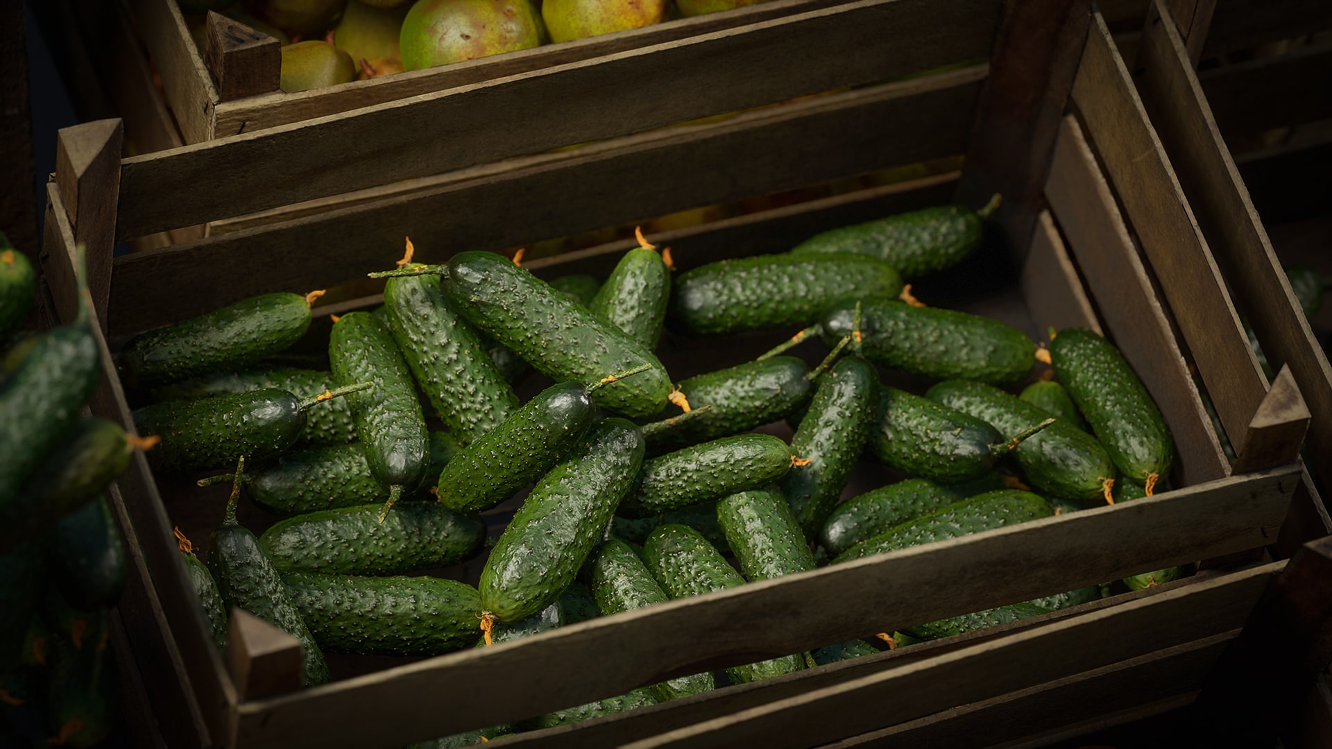 Food Props: Fruits and Vegetables vol.2 in Props - UE Marketplace