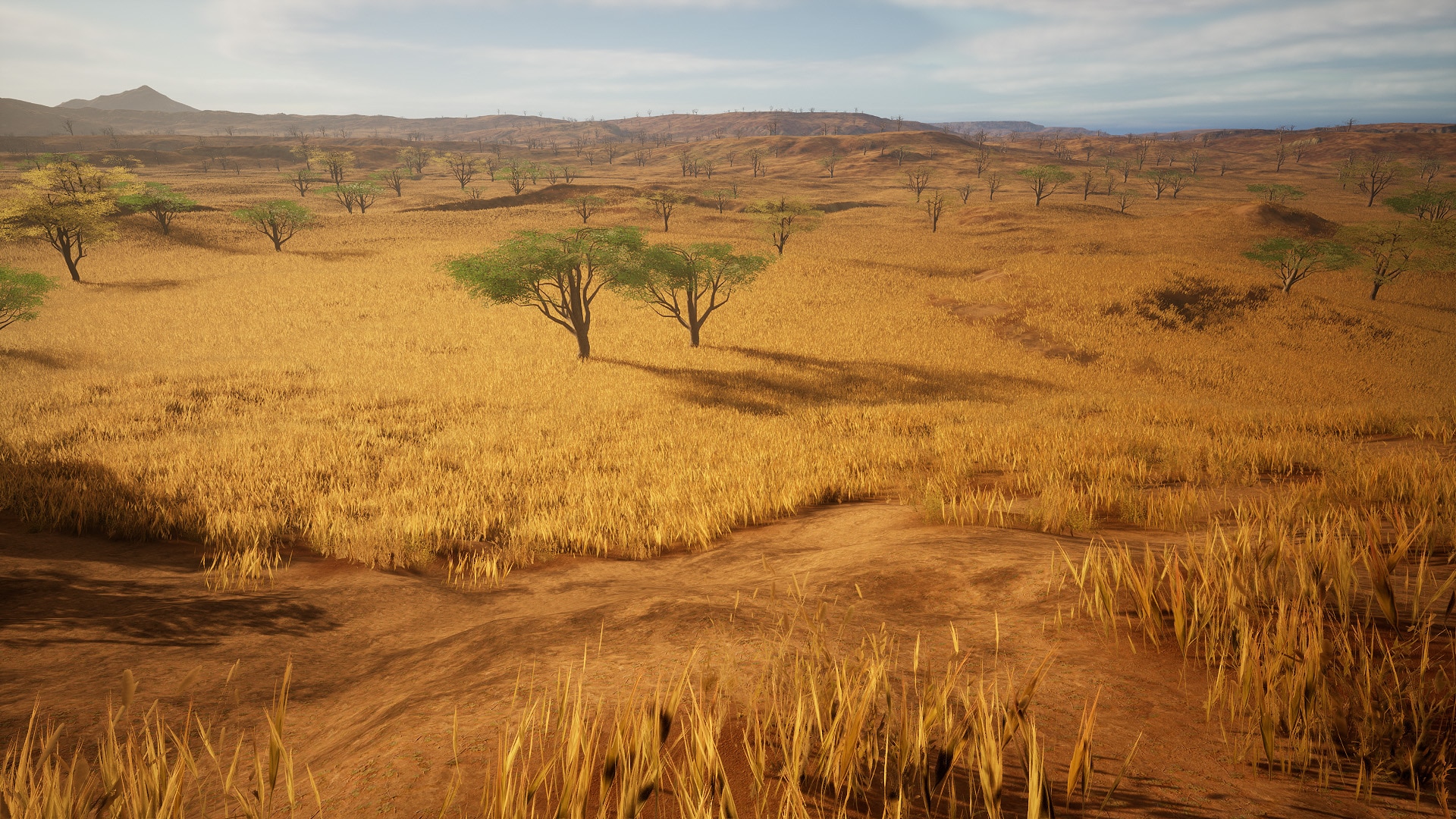 8K Savannah Landscape Pack in Environments - UE Marketplace