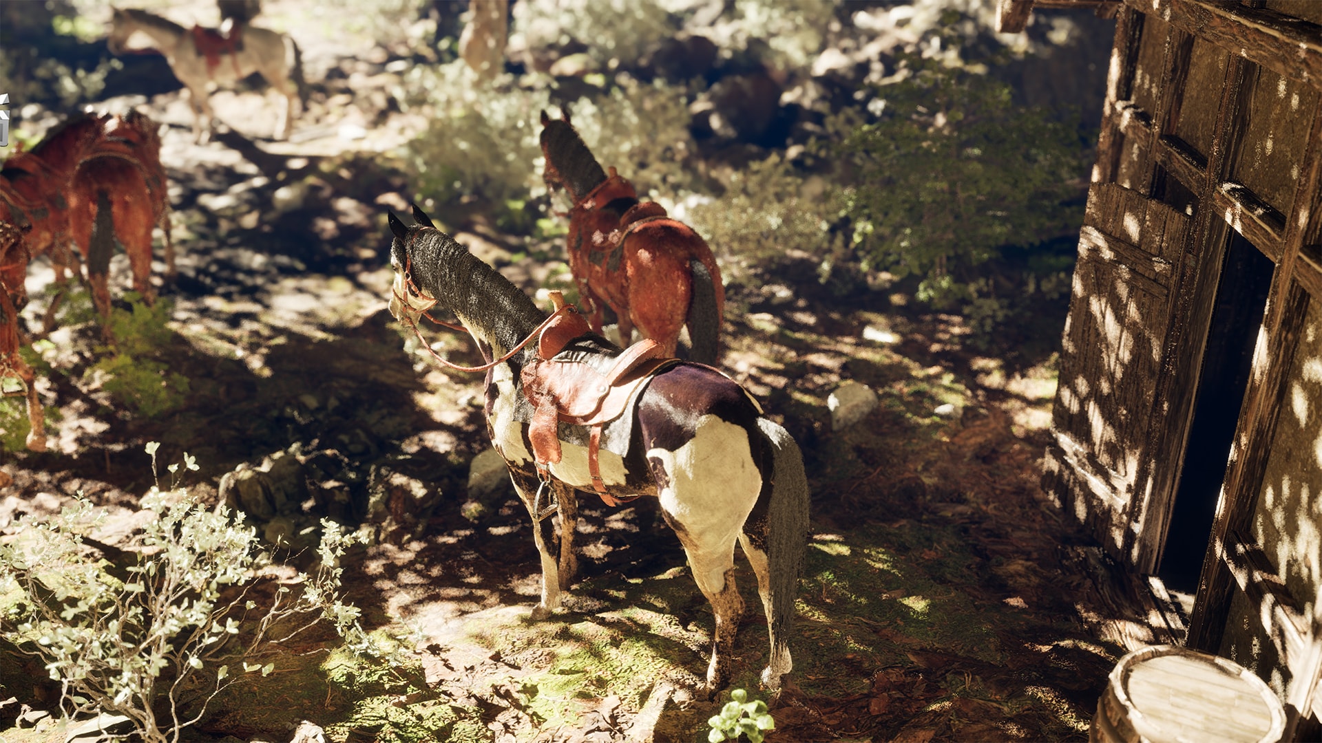 Realistic Horse with Animations - Unreal Engine Asset Realistic Horse with Animations - Unreal Engine Asset