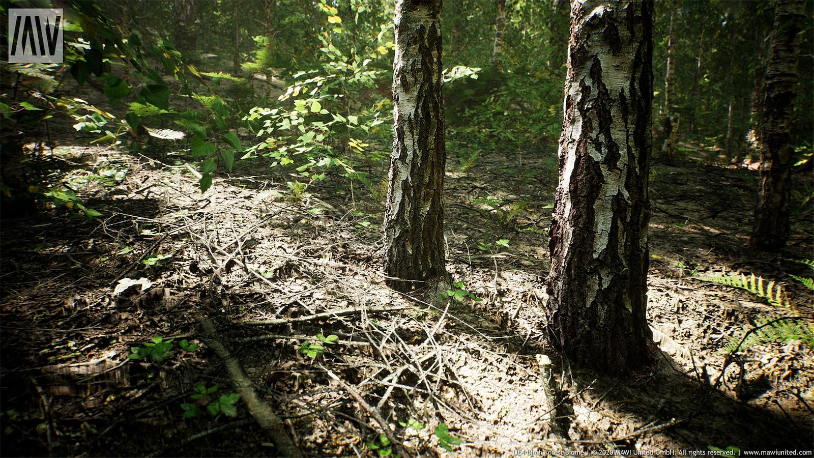 Birch Forest Biome in Environments - UE Marketplace