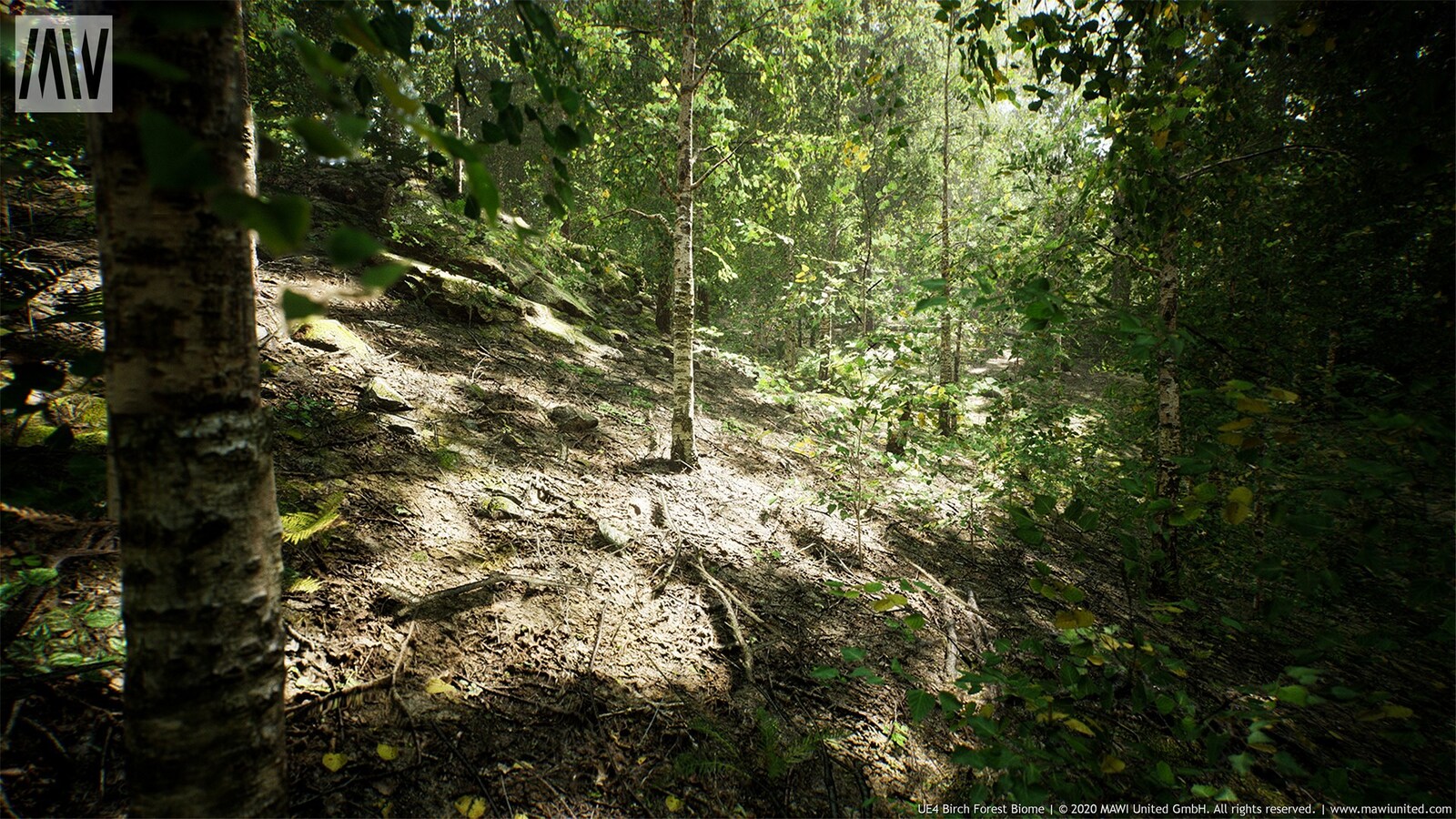 Birch Forest Biome in Environments - UE Marketplace