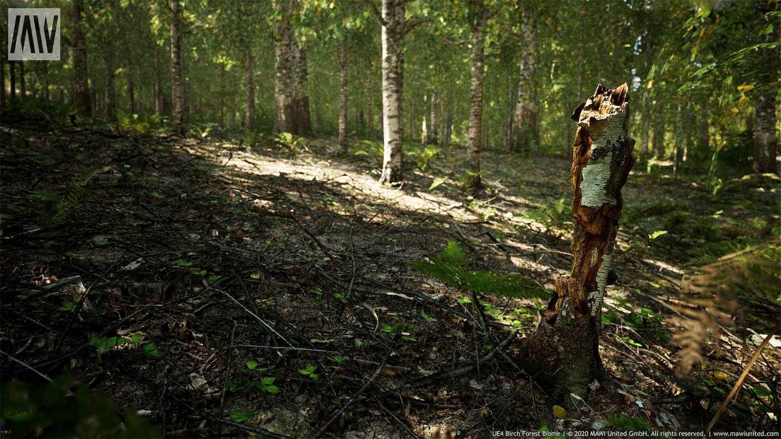 Birch Forest Biome in Environments - UE Marketplace
