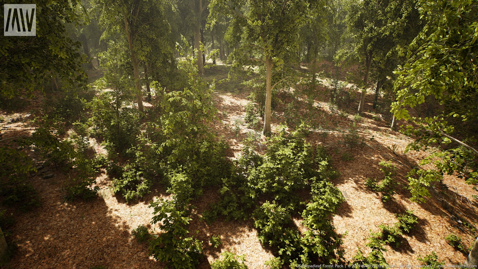 MW Broadleaf Tree Forest Biome in Environments - UE Marketplace