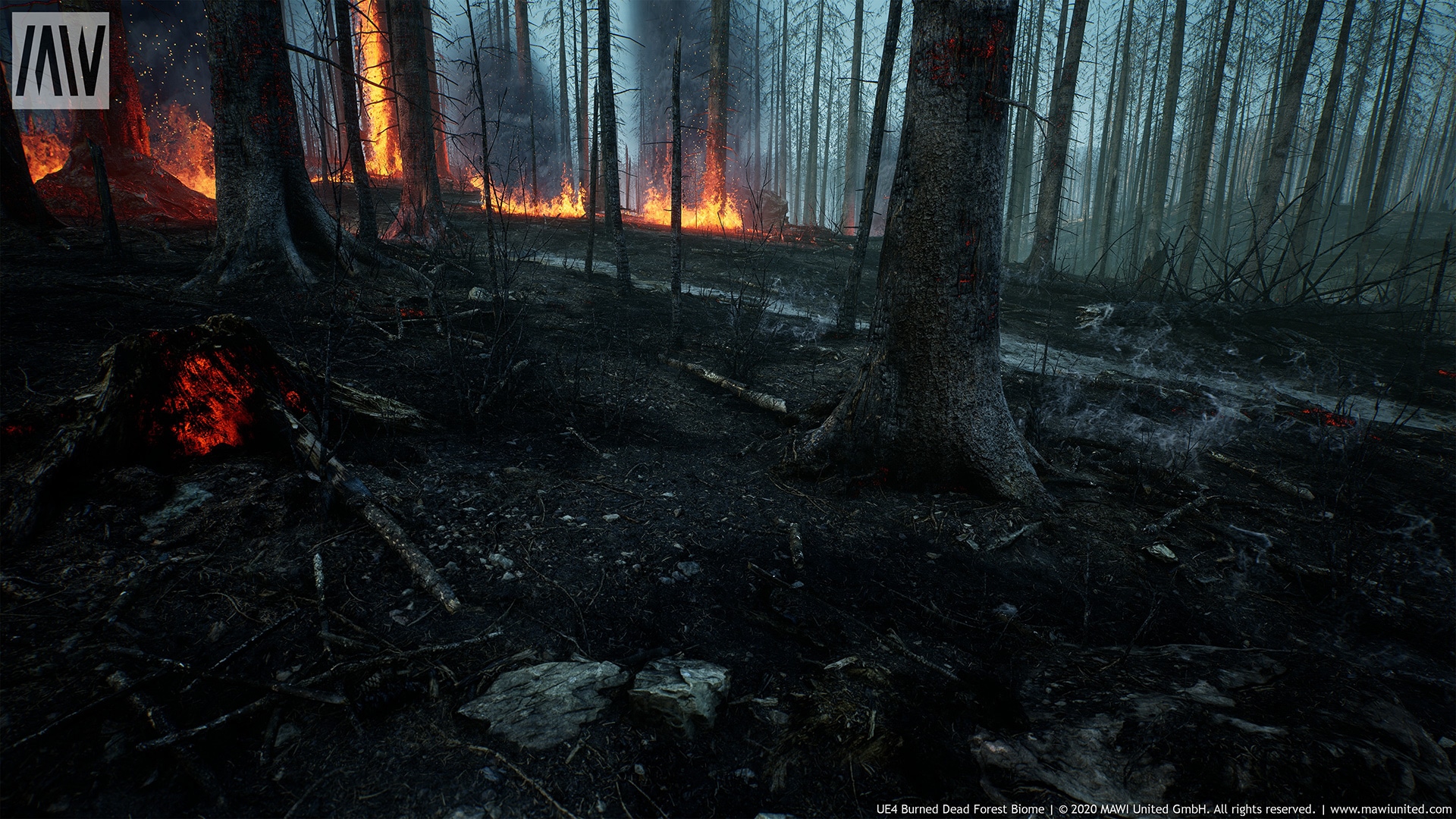 MW Burned Dead Trees Forest Biome in Environments - UE Marketplace