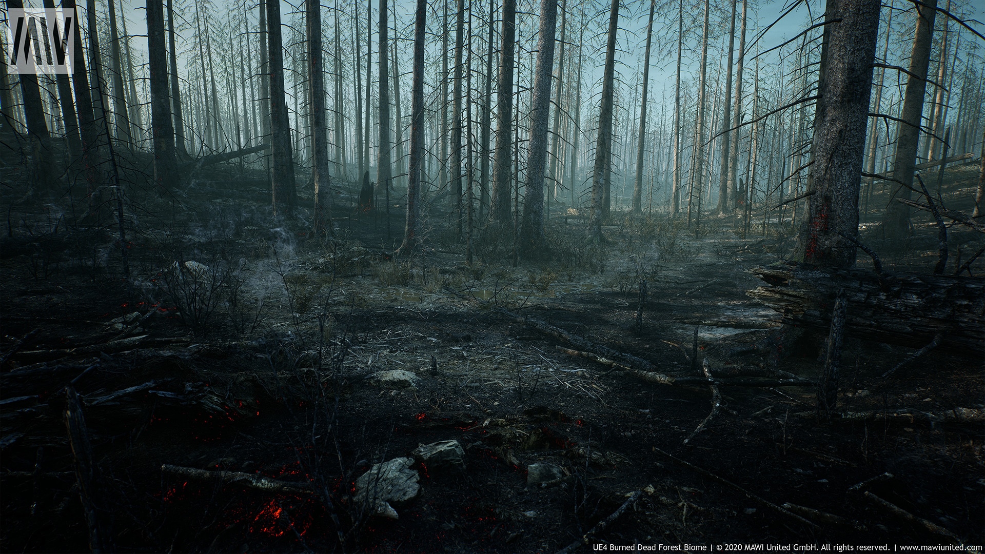 MW Burned Dead Trees Forest Biome in Environments - UE Marketplace