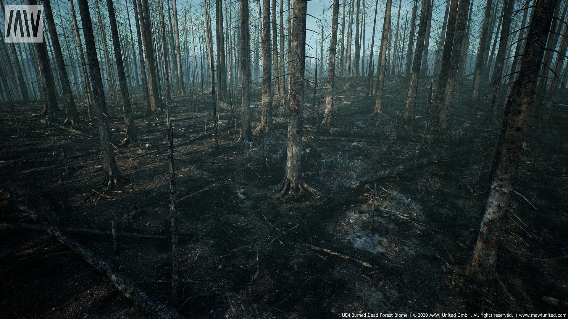 MW Burned Dead Trees Forest Biome in Environments - UE Marketplace