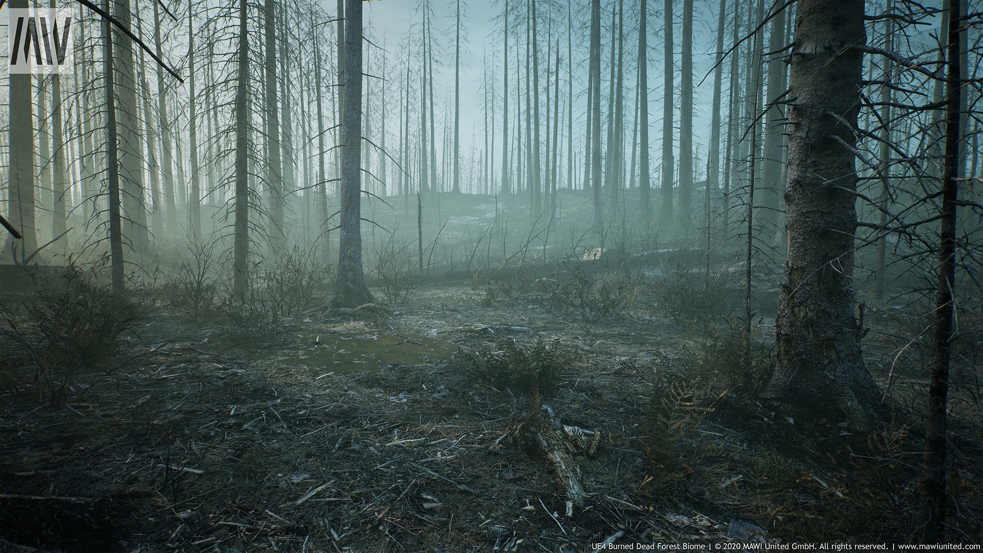 MW Burned Dead Trees Forest Biome in Environments - UE Marketplace