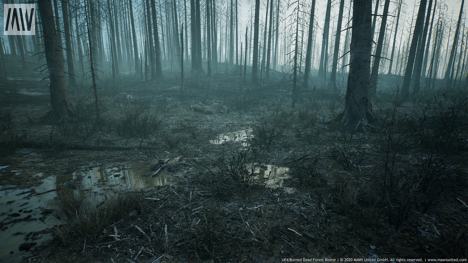 MW Burned Dead Trees Forest Biome in Environments - UE Marketplace