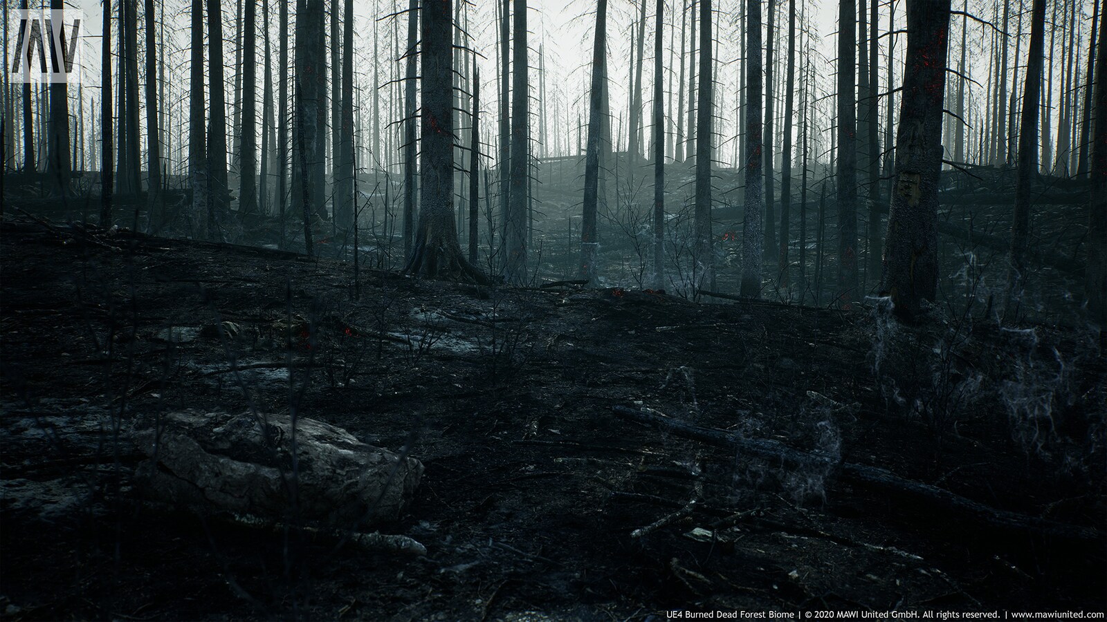 MW Burned Dead Forest Biome in Environments - UE Marketplace