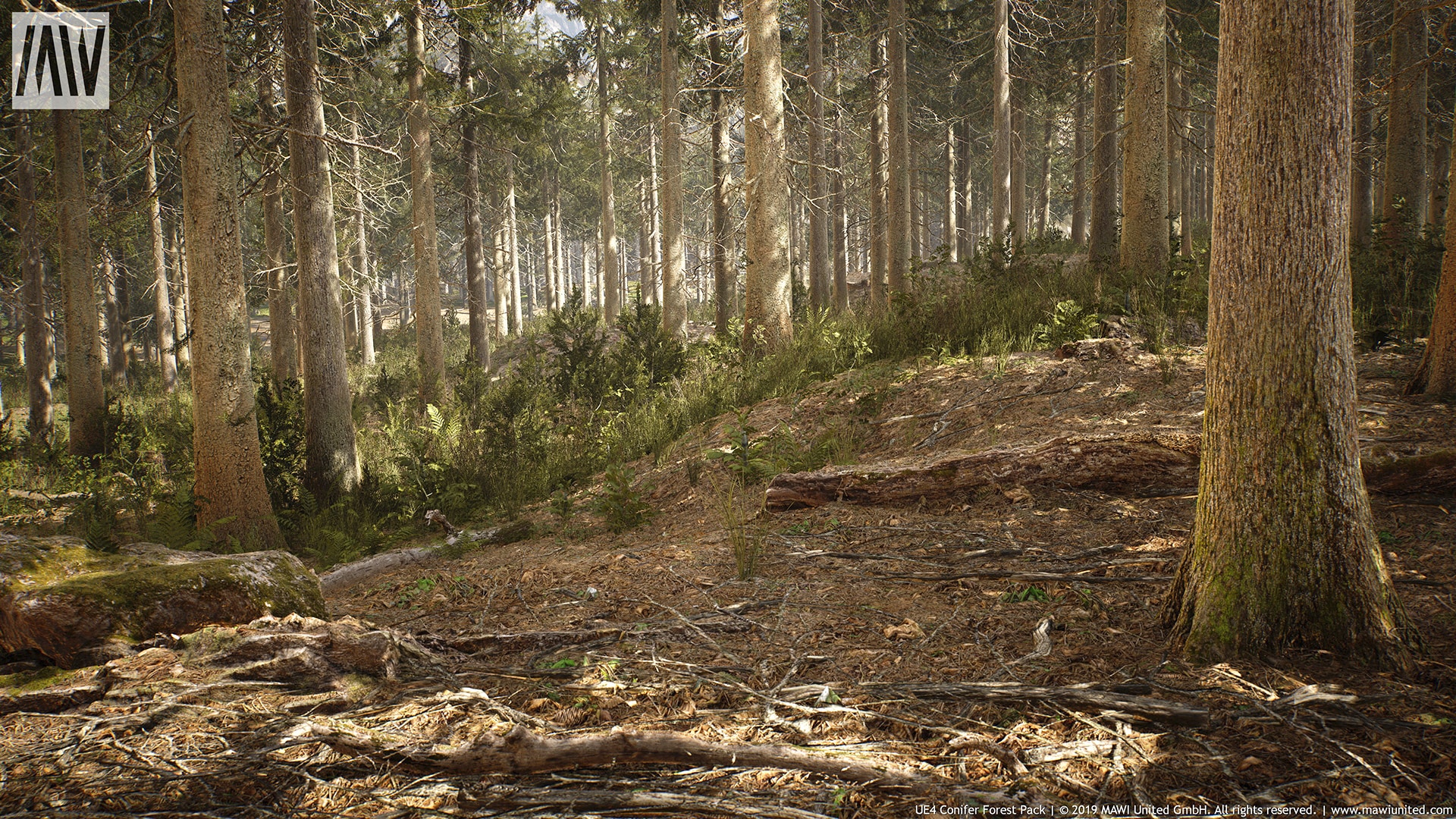 MW Conifer Trees Forest Biome in Environments - UE Marketplace