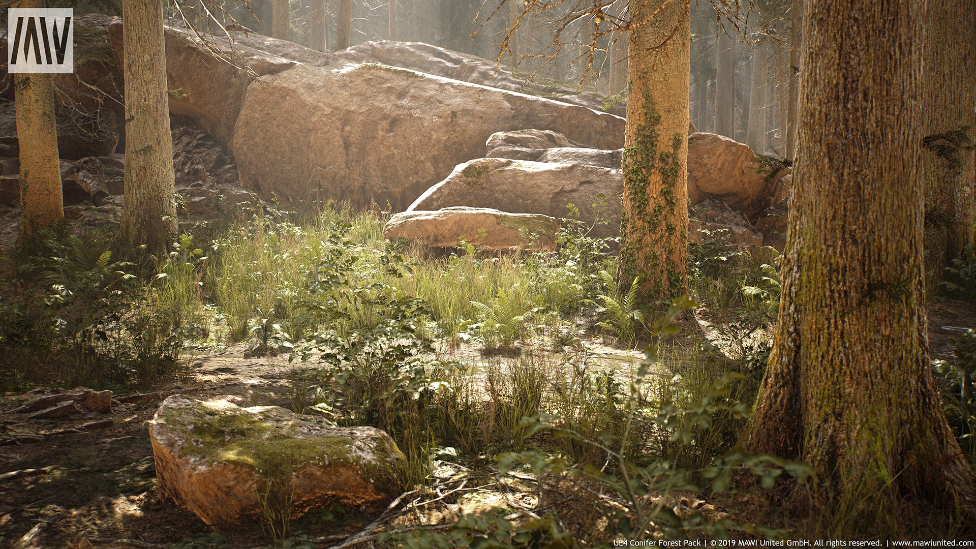 MW Conifer Trees Forest Biome in Environments - UE Marketplace