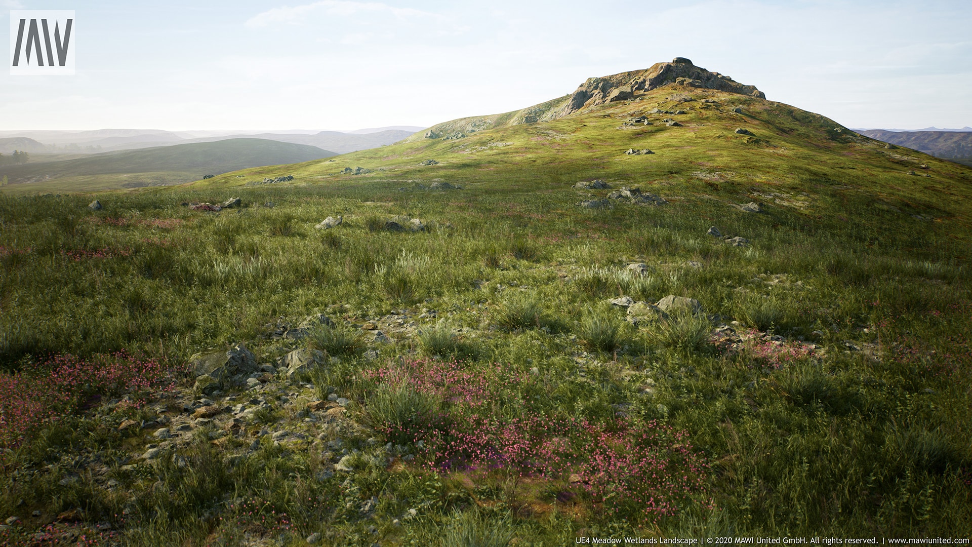 MW Meadow Wetlands Landscape in Environments - UE Marketplace
