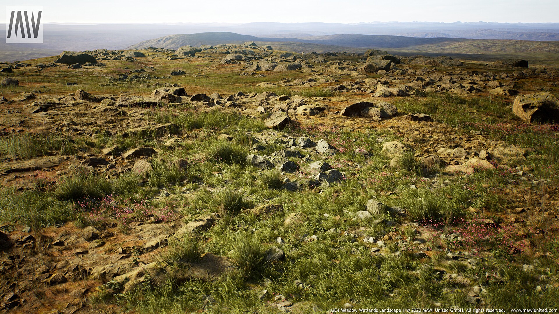 MW Meadow Wetlands Landscape in Environments - UE Marketplace