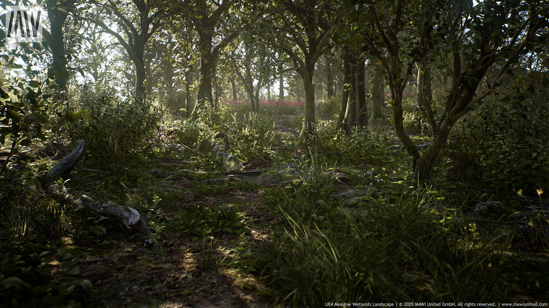 MW Meadow Wetlands Landscape in Environments - UE Marketplace