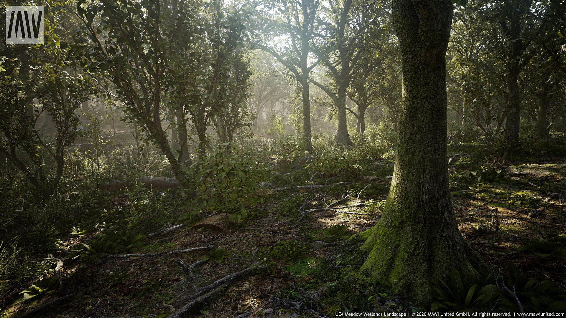 MW Meadow Wetlands Landscape in Environments - UE Marketplace