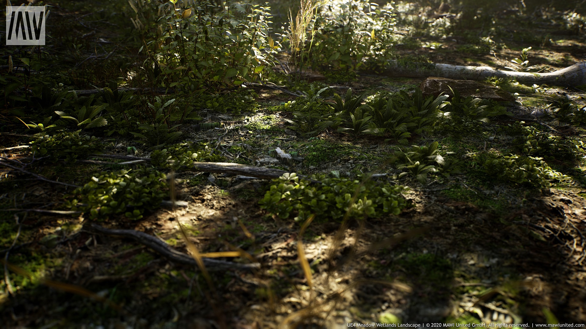 MW Meadow Wetlands Landscape in Environments - UE Marketplace