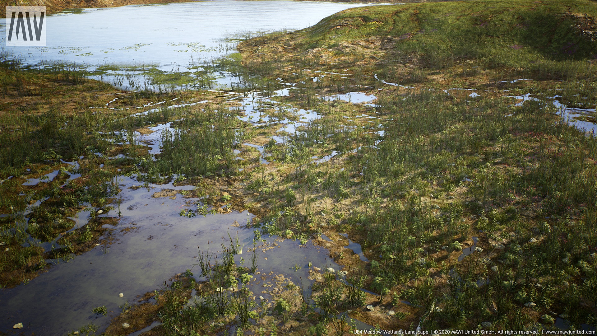 MW Meadow Wetlands Landscape in Environments - UE Marketplace