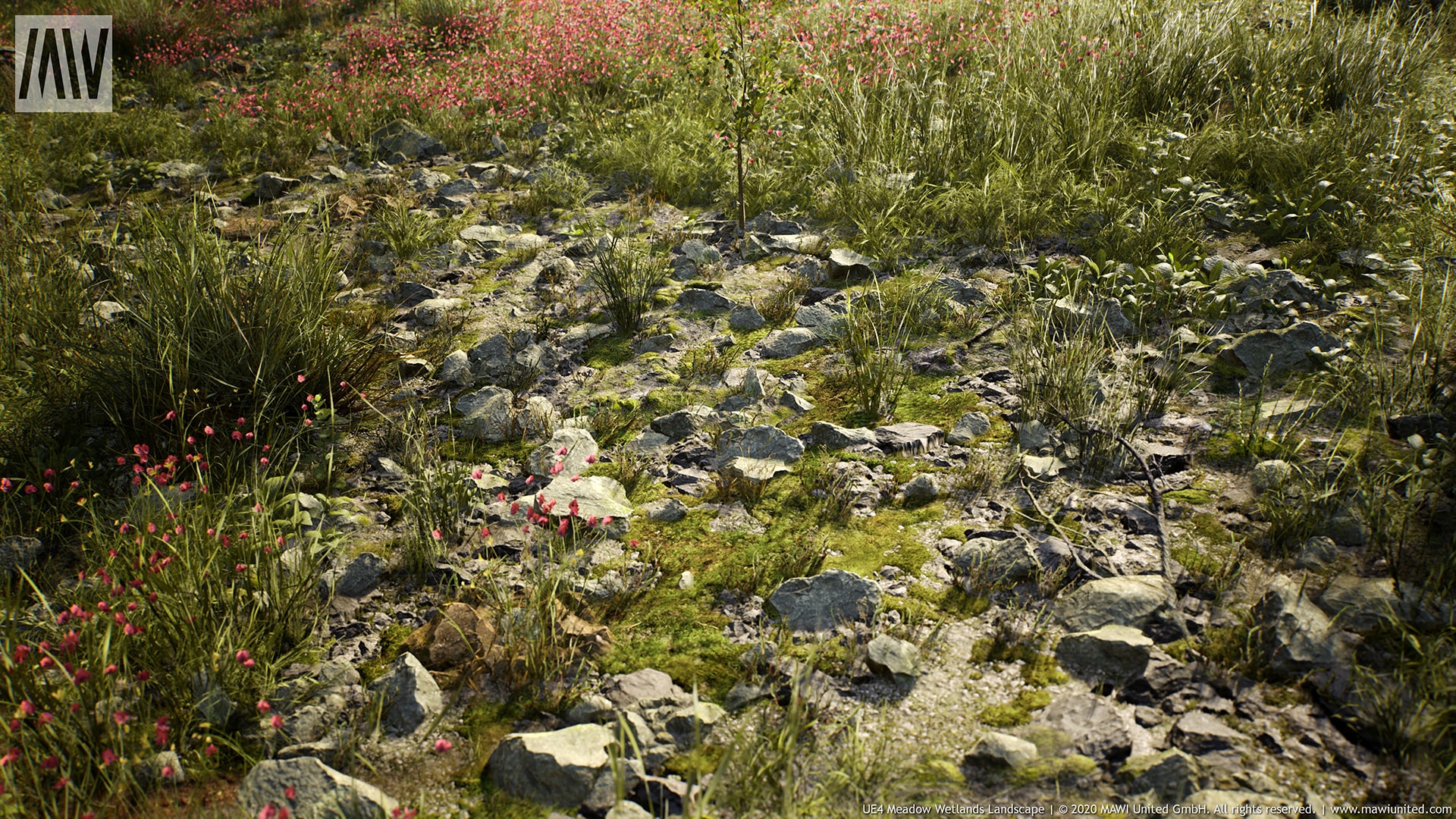 MW Meadow Wetlands Landscape in Environments - UE Marketplace