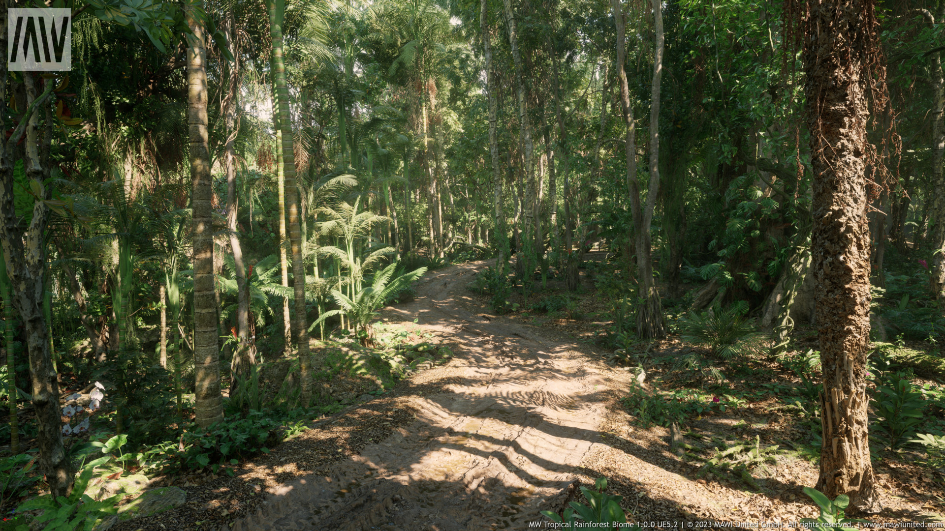 MW Tropical Rainforest Trees Biome