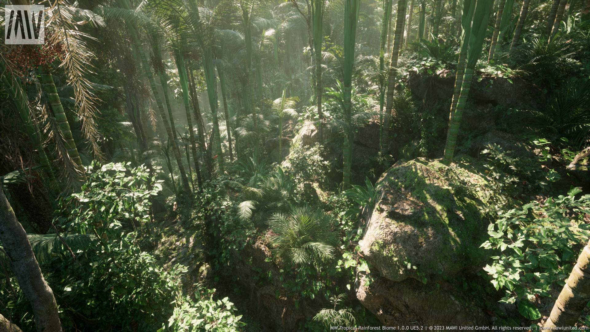 MW Tropical Rainforest Trees Biome