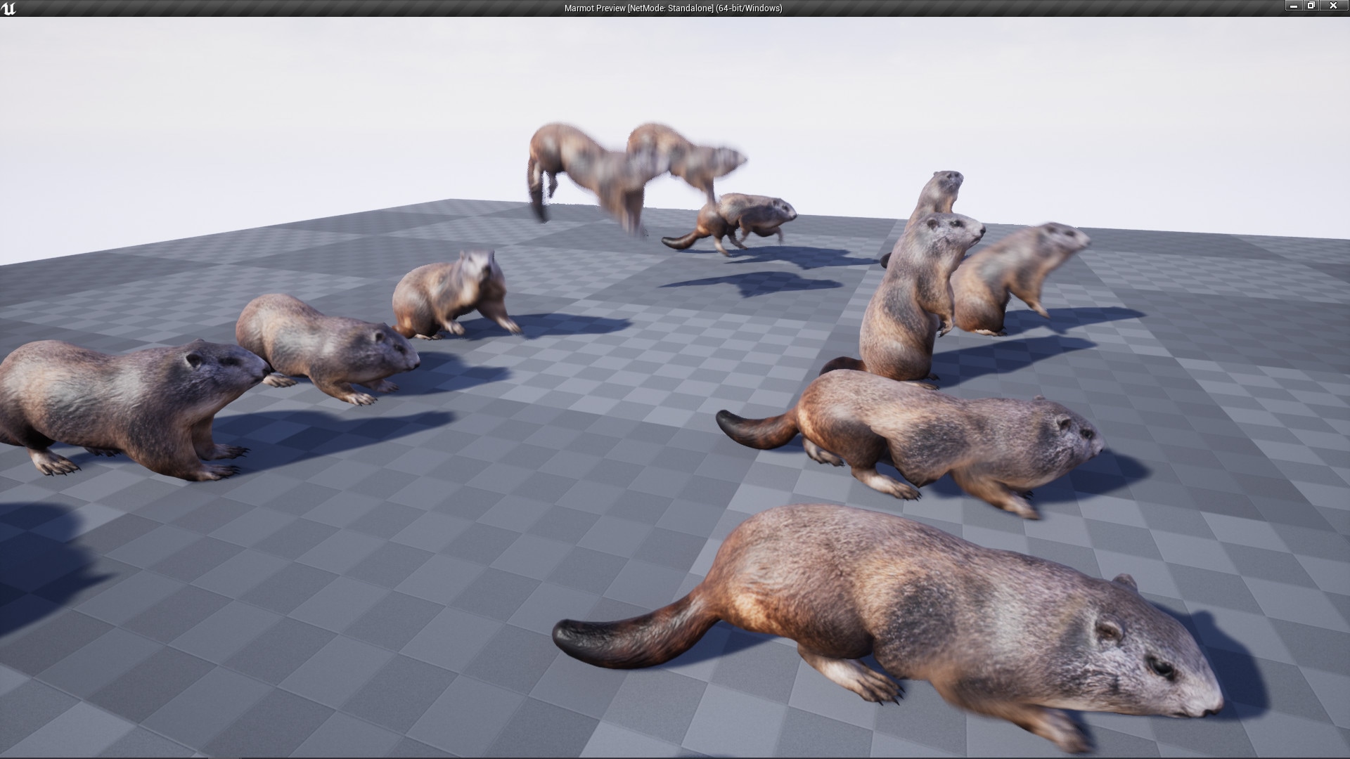 Marmot in Characters - UE Marketplace