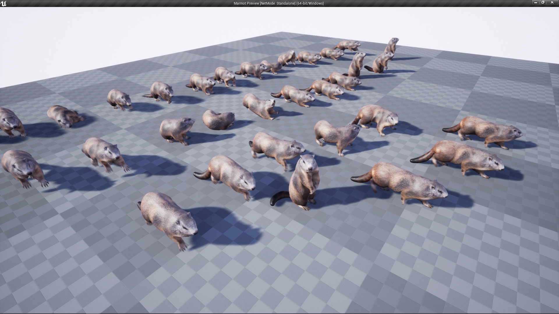 Marmot in Characters - UE Marketplace