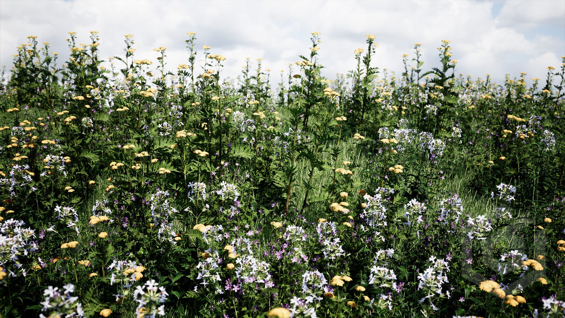 Meadow Plants in Props - UE Marketplace