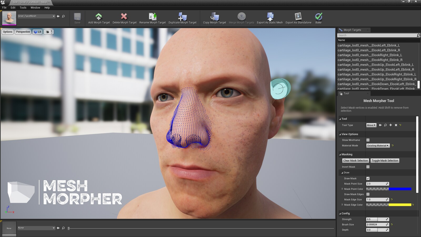 Mesh Morpher in Code Plugins - UE Marketplace