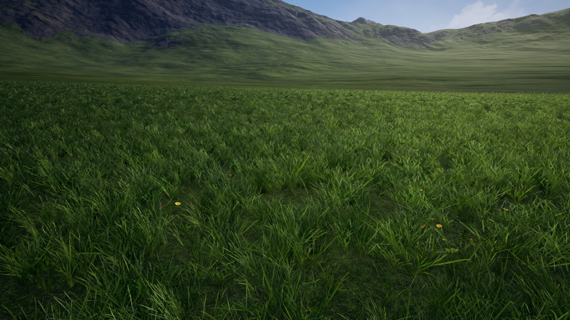 Landscape Procedural Auto Material in Environments - UE Marketplace