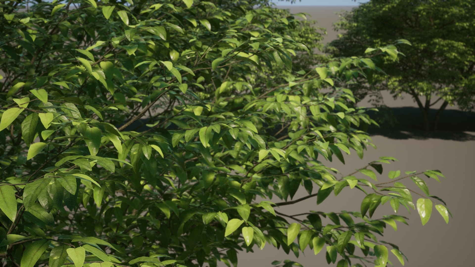 Various high-precision realistic trees v3 in Props - UE Marketplace