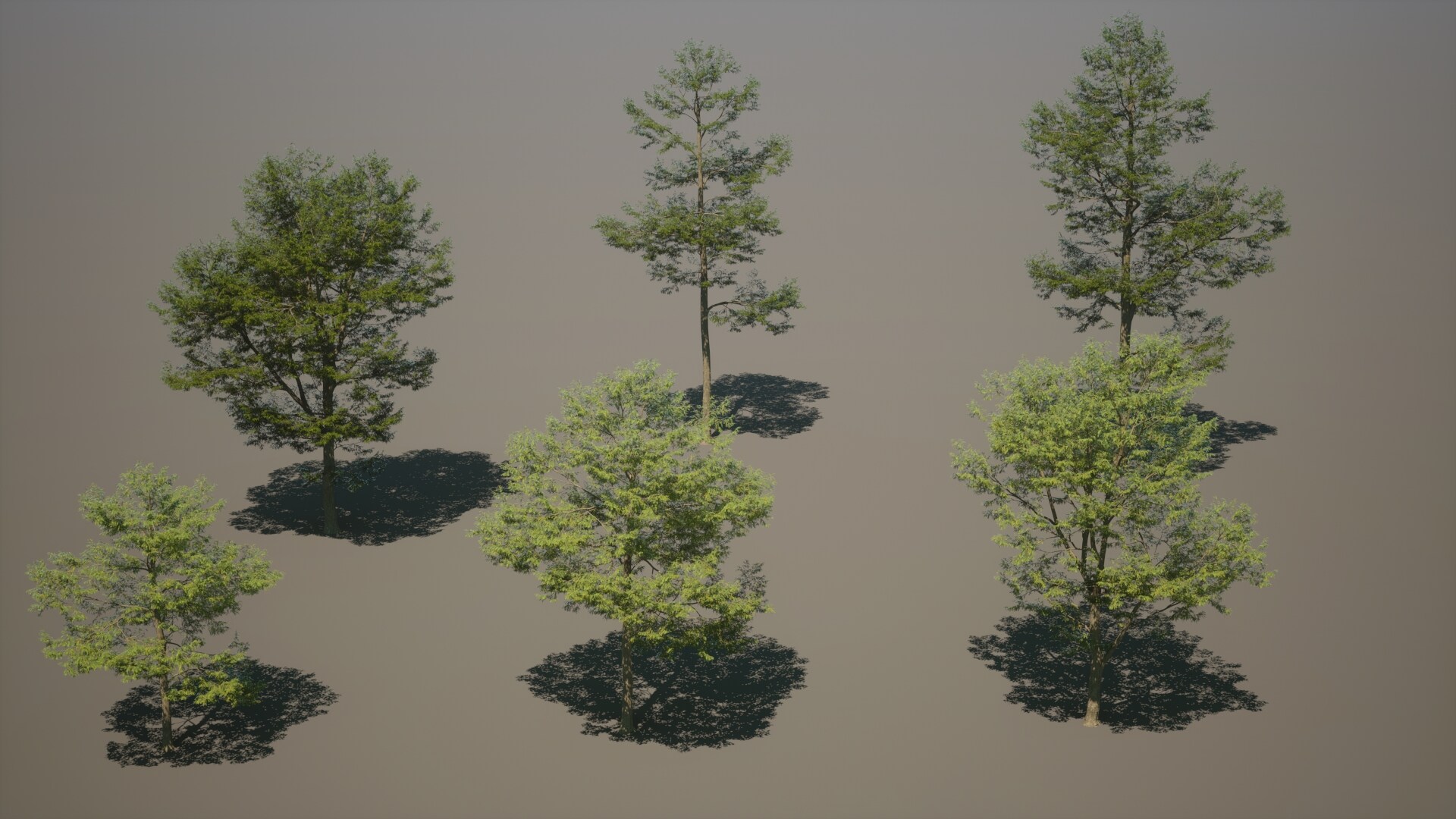 Various high-precision realistic trees v6 in Props - UE Marketplace