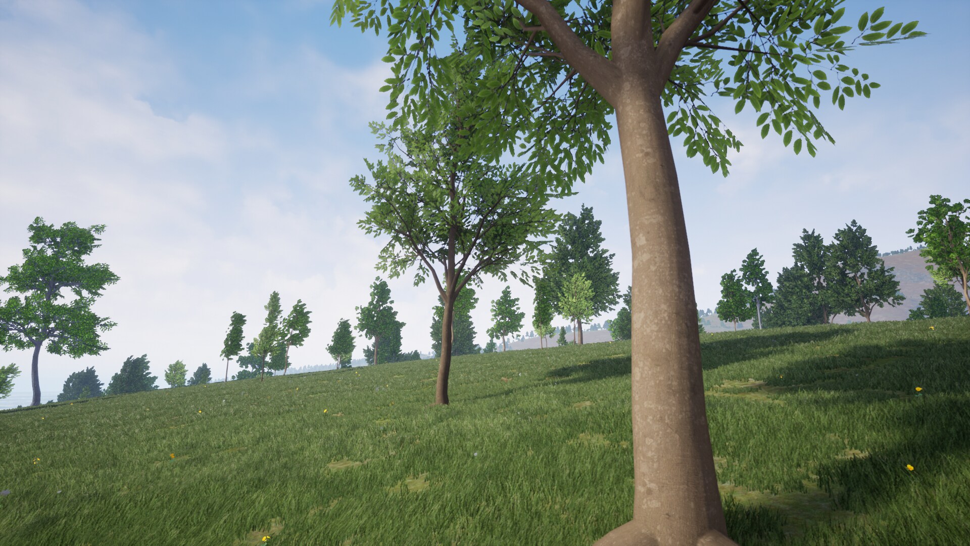 Just Some Trees - P2 in Environments - UE Marketplace